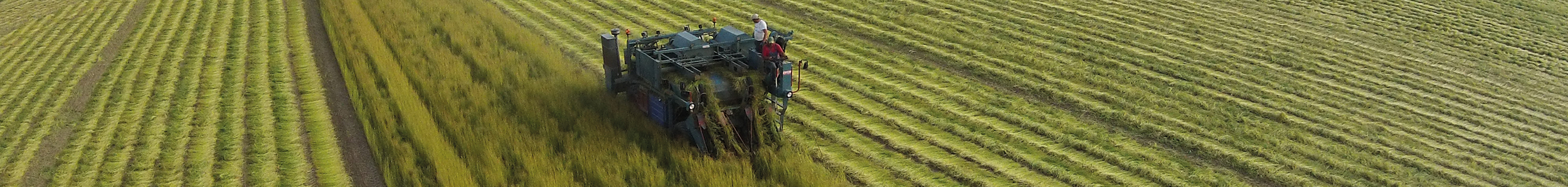 Van de Bilt | Your specialist in flax fibre and seeds